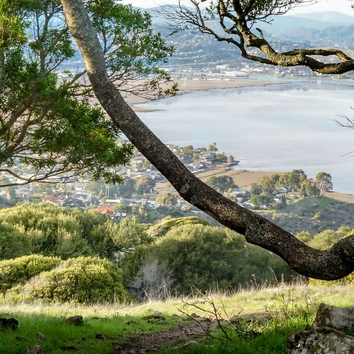 The 12 Best Small Towns in California to Raise a Family in 2023