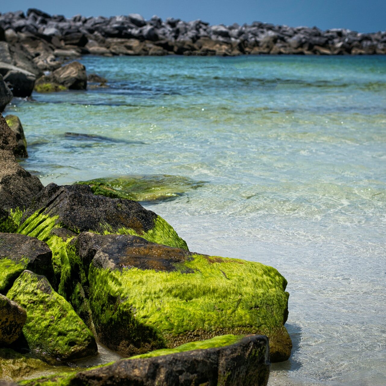 Destin vs Panama City Beach - Which Beach Town Wins in 2026?