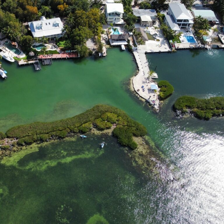 Key West vs Key Largo - 2023 Detailed Comparison Guide