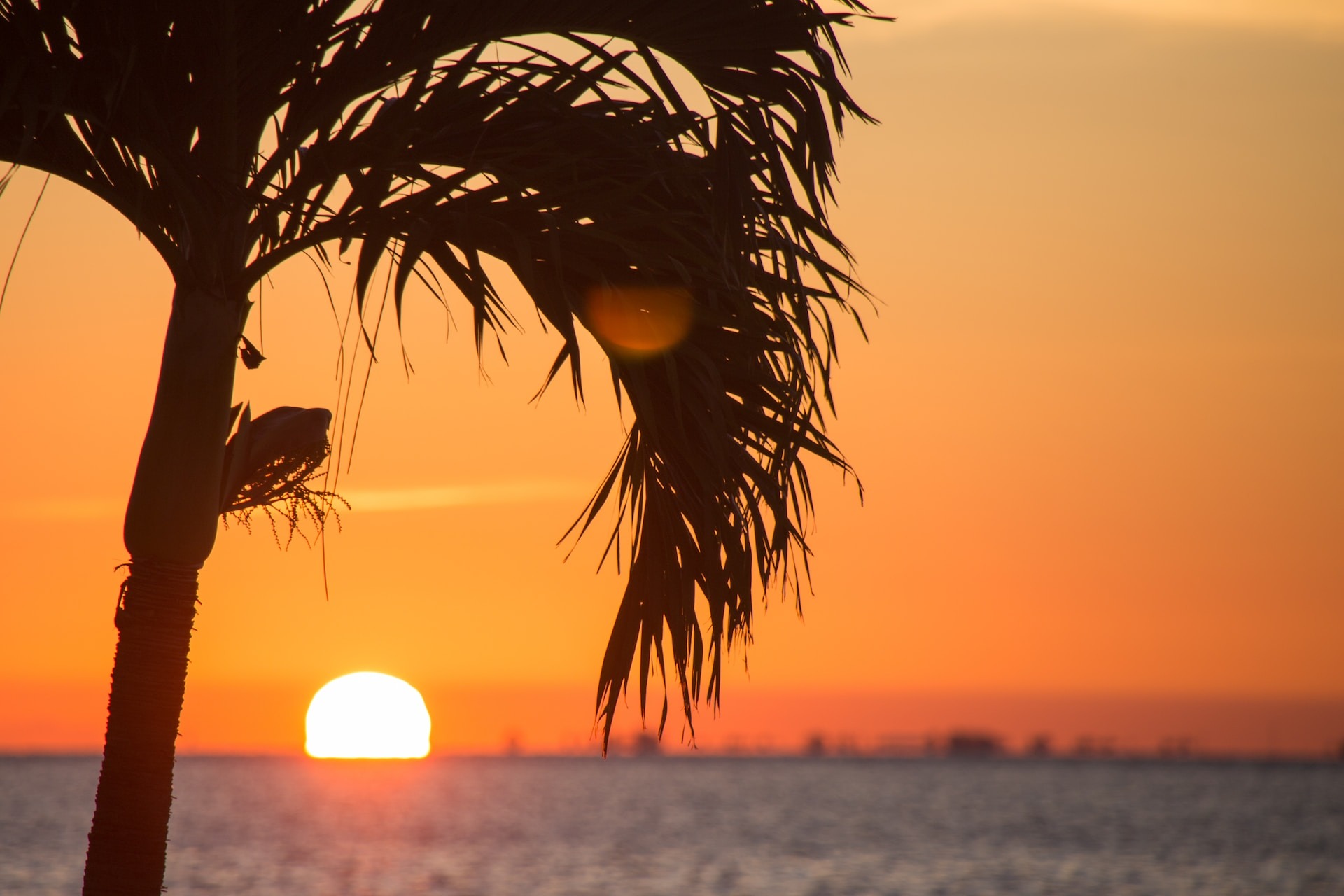 Why is Florida So Hot? 5 Reasons Based on Science & Data