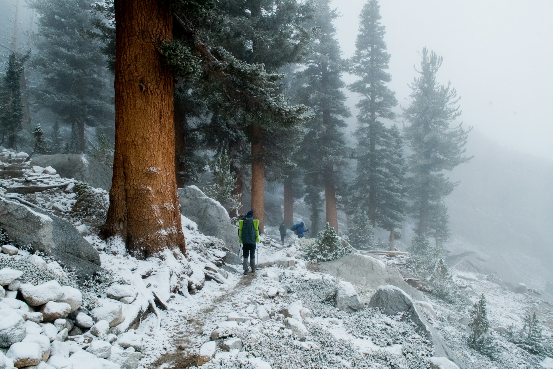 8 Coldest Cities in California - Discover Where to Cool Off