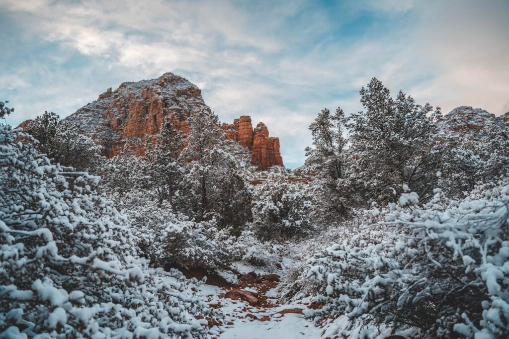 Does it Snow in Arizona? 8 Cities Where it Snows (A LOT)