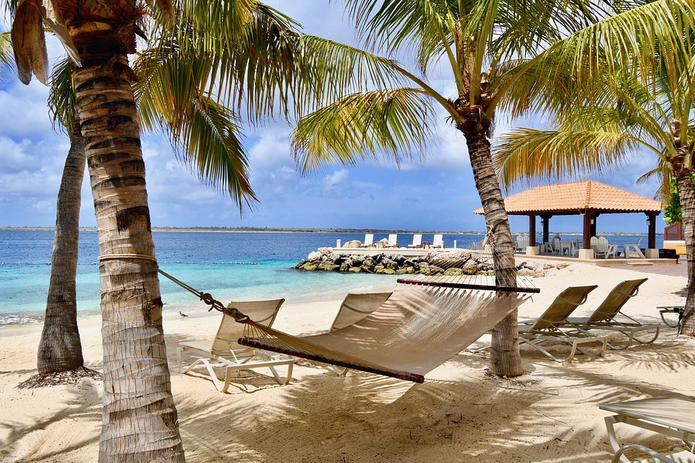 The 6 Best Luxury Resorts in Bonaire - 2026 Update