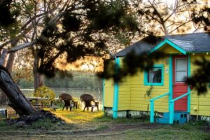 5 Best Places to Stay in Cedar Key Florida - Hand-Picked for 2026