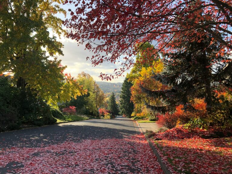 10 Cheapest & Safest Places to Live in Oregon - 2026 Update